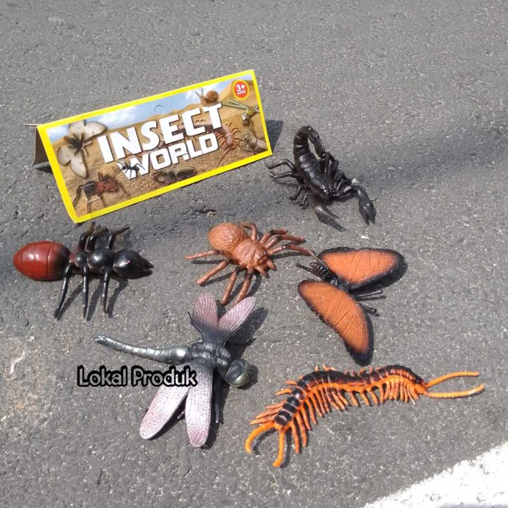 Jual Insect World Mainan Kelabang Capung Laba Laba Kalajengking Kupu ...