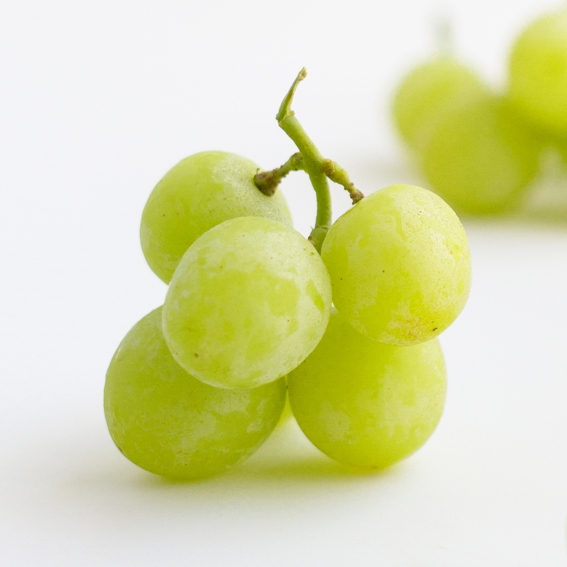 Jual Anggur Hijau Autumn Crisp Sweet Green Seedless Grapes IMPORT 500 ...