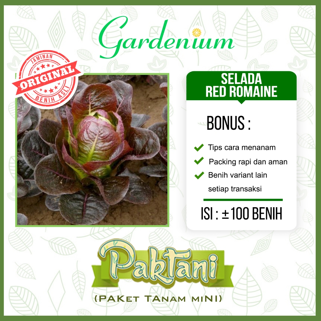 Jual 100 Benih Selada Red Romaine Unggul Paktani | Shopee Indonesia
