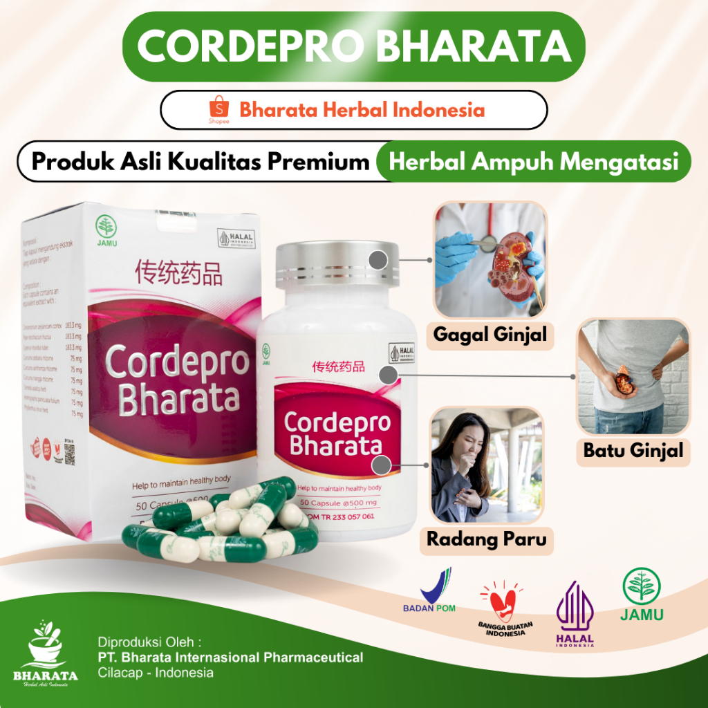 Jual Cordepro Bharata, Obat Ginjal Premium, Obat Gagal Ginjal Membantu ...