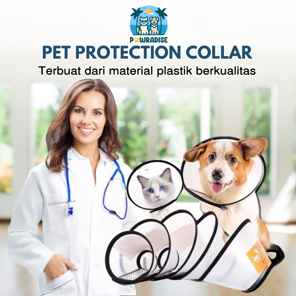 Jual Pelindung leher anjing neck collar anjing kuncing - pet collar ...