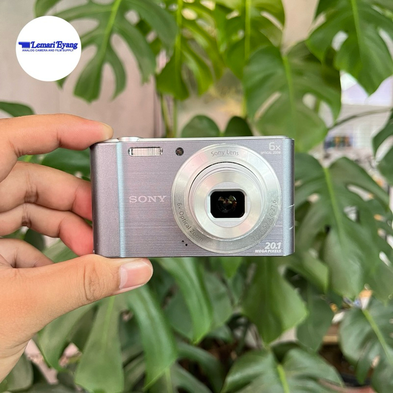 Jual Digicam / Kamera Digital Sony Cybershot DSC W810 | Shopee Indonesia