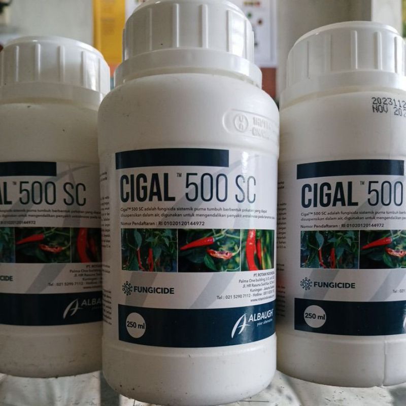 Jual Fungisida Sistemik CIGAL 500SC 250 ML Tebukonazol + Klorotalonil ...