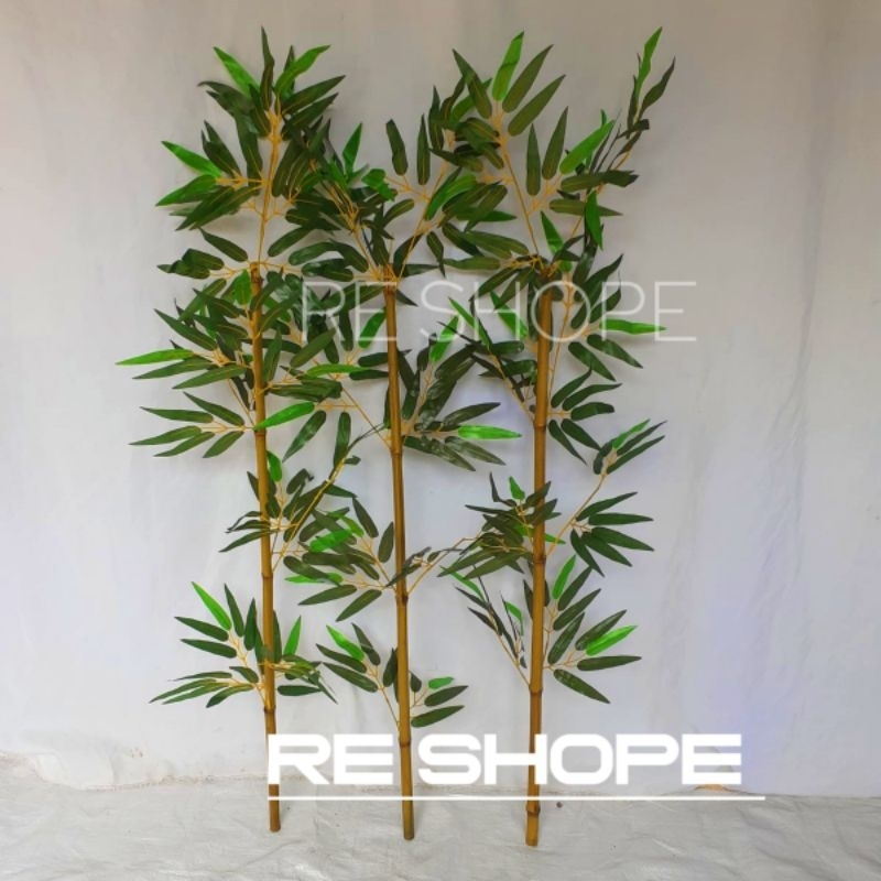 Jual batang partisi bambu tinggi 100cm bunga hias pohon bambu bunga ...
