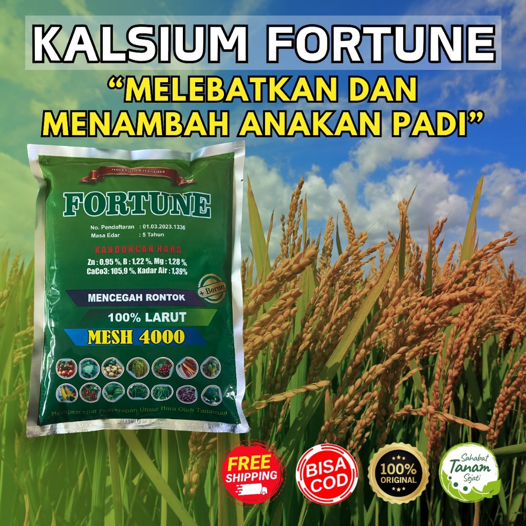 Jual Fortune Kalsium Plus Boron + Zinc Pelebat Padi, Menambah Anakan ...