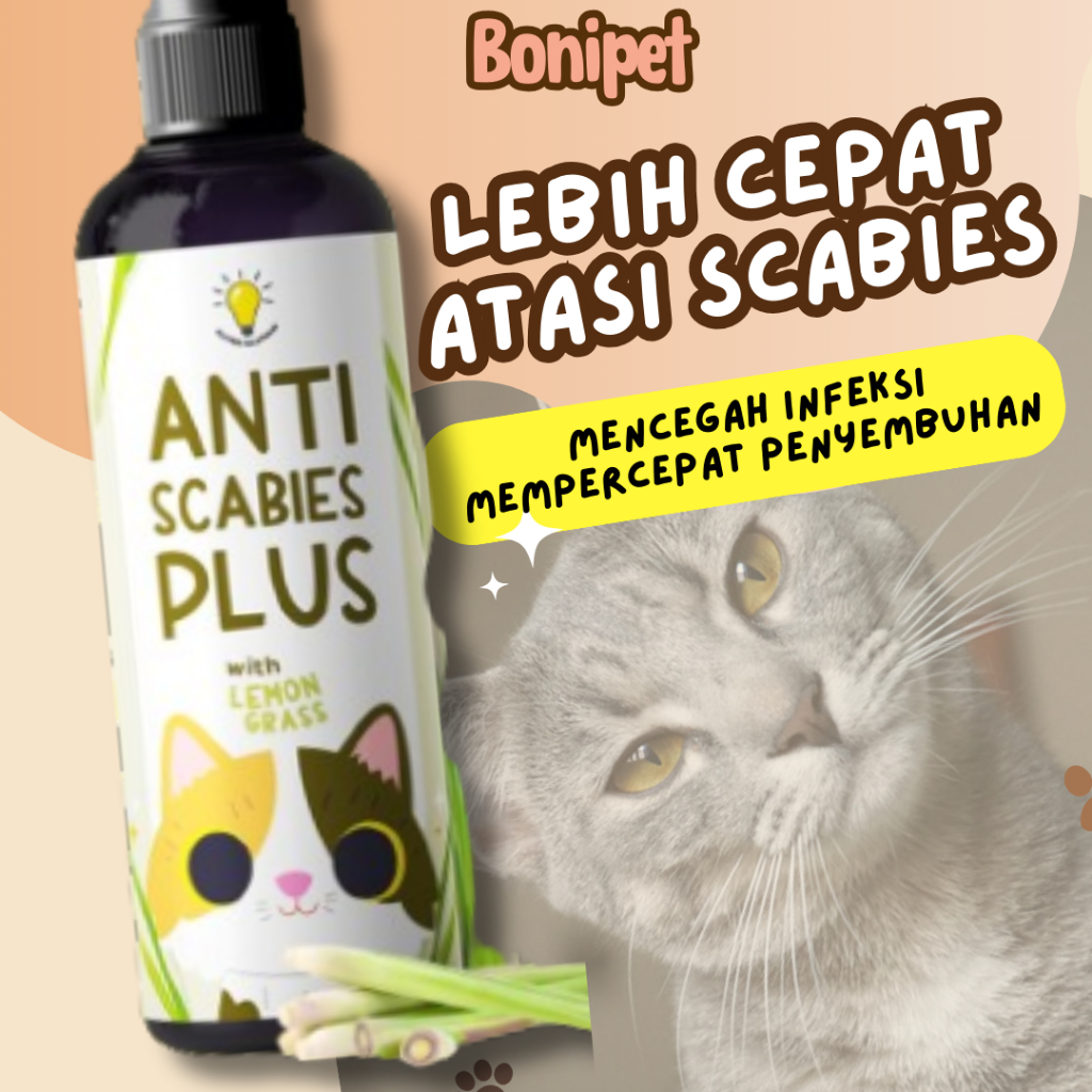 Jual Anti Scabies Plus Obat Jamur Kucing Kutu Scabies Gudik Demodex ...