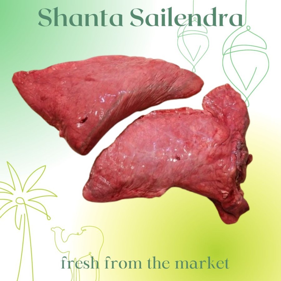 Jual PARU SAPI BEEF LUNG 500 GRAM | Shopee Indonesia