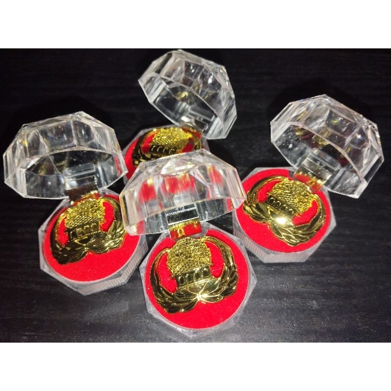 Jual Pin korpri Peniti kuningan 3cm pin ASN-PNS PPPK-dilengkapi box ...