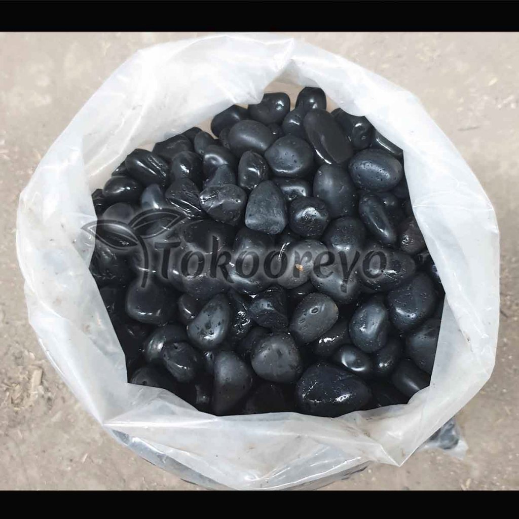 Jual BATU ALOR FLORES SEDANG - KORAL HITAM HIAS TAMAN VIA GOSEND GRAB ...