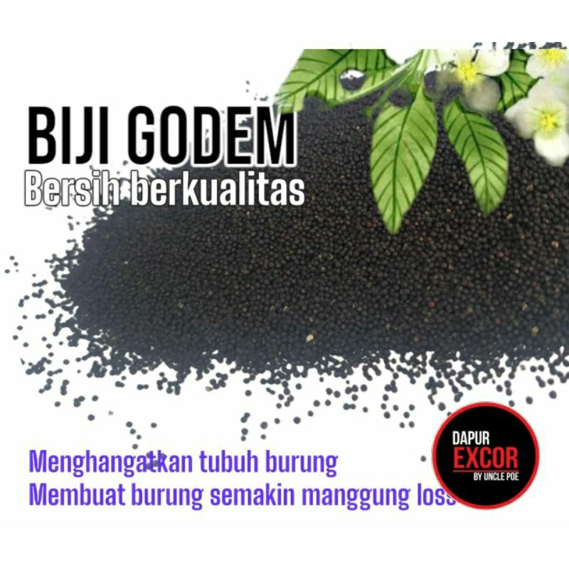 Jual biji godem pengacor manggung los perkutut 100 gr | Shopee Indonesia