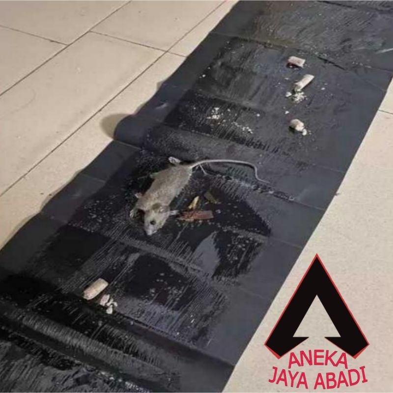 Jual LEM TIKUS PANJANG 1,2 METER LEM TIKUS BESAR JEBAKAN TIKUS AMPUH ...