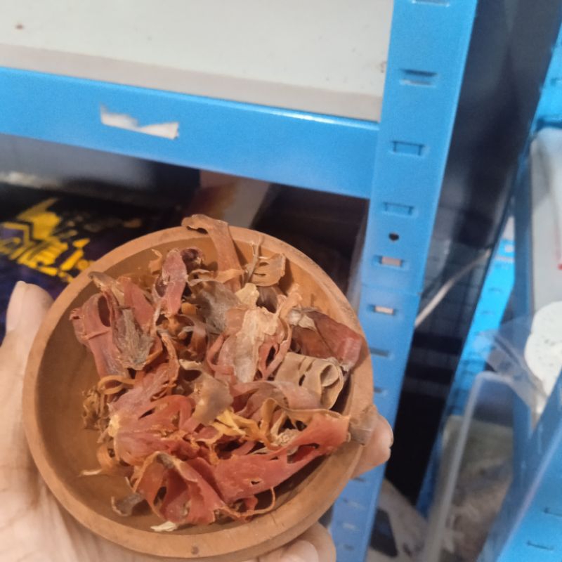 Jual Bunga Pala / Cempra | Shopee Indonesia