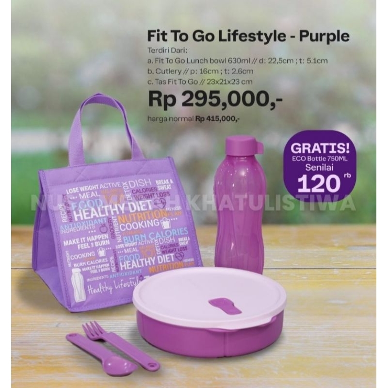 Jual fit to go lunch set tupperware | Shopee Indonesia
