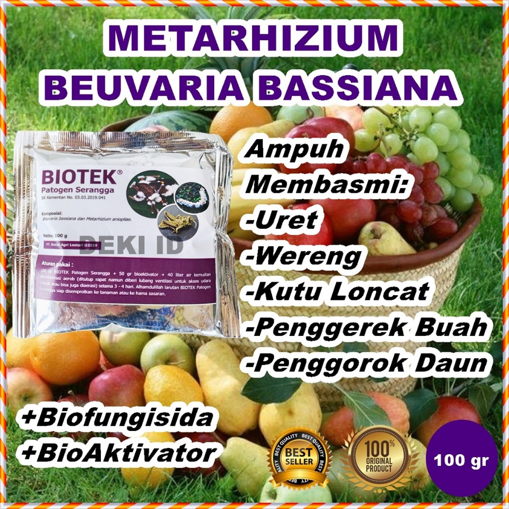 Jual Biotek Patogen Serangga 100 gr Metarhizium Beauveria Bassiana Bio ...