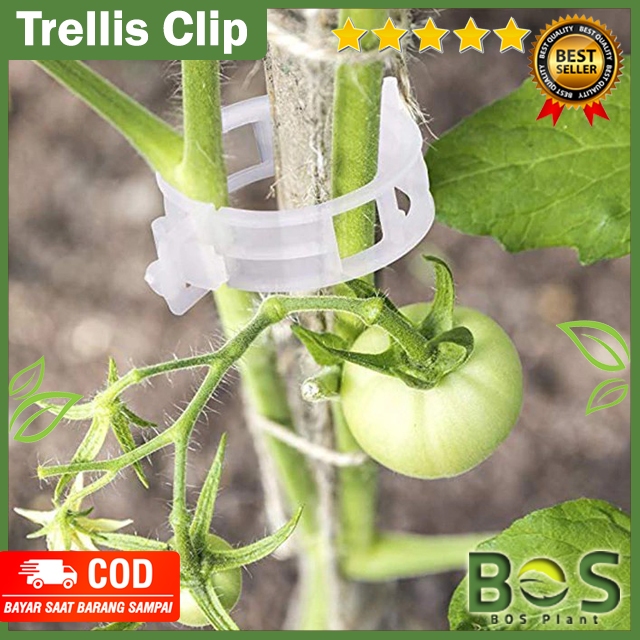 Jual Bosplant - Trellis Clip / Plant Clip - Klip Tali Lanjaran Tanaman ...