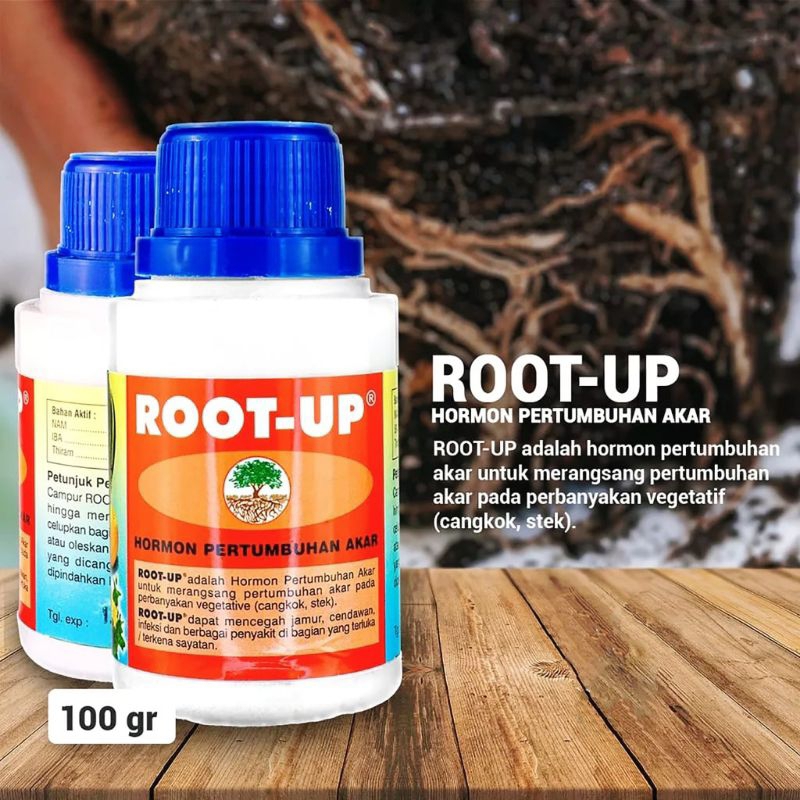 Jual ROOT UP 100GR HORMON PERTUMBUHAN AKAR CANGKOK STEK BATANG TANAMAN ...