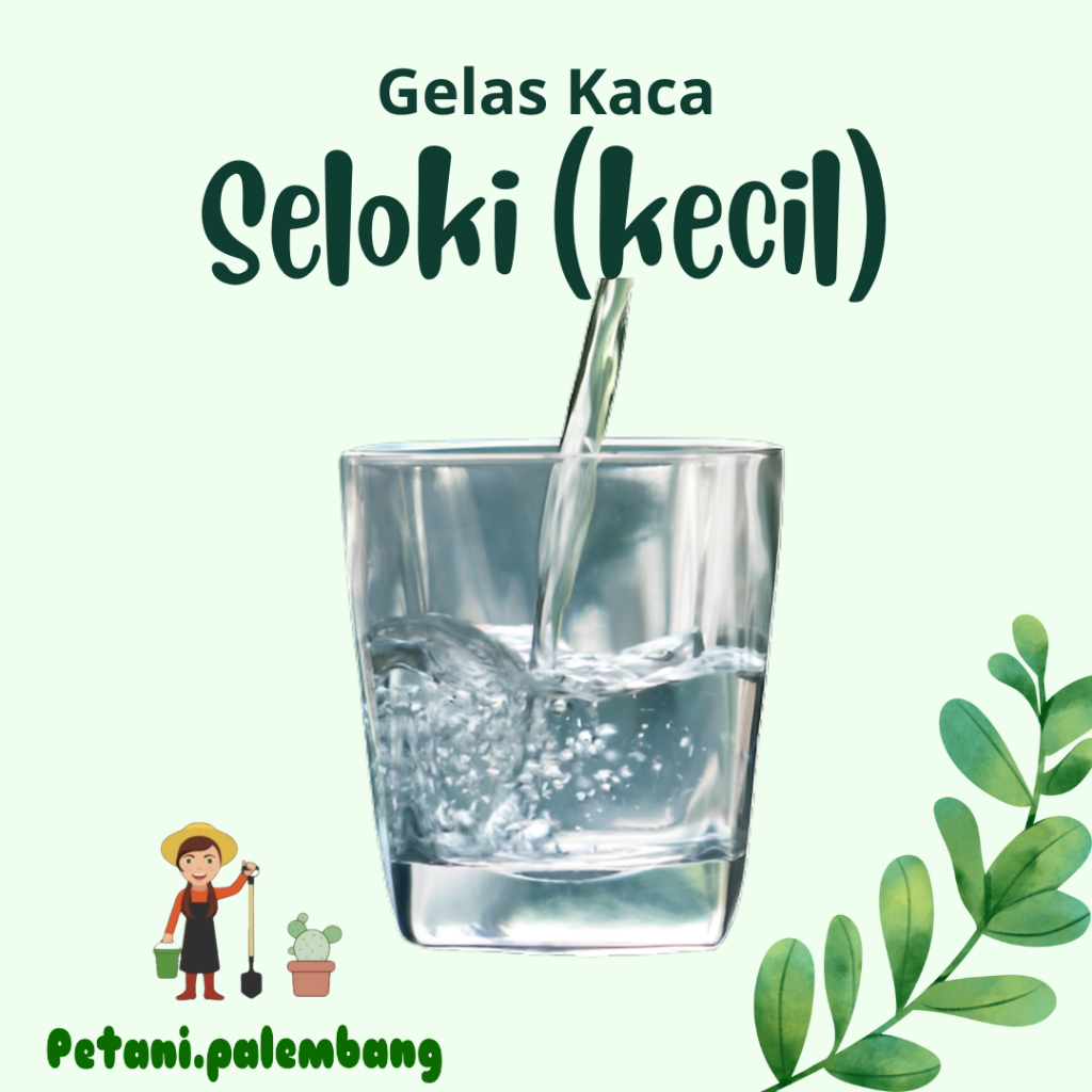 Jual Gelas Seloki Kaca Beling Glass Kecil | Shopee Indonesia