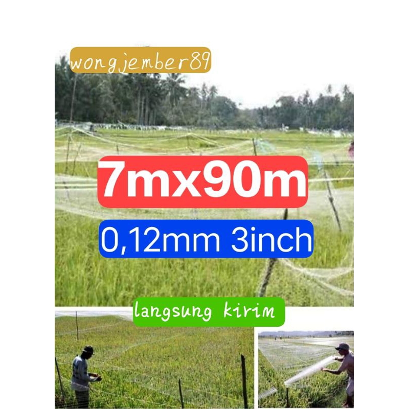 Jual jaring padi/jaring burung 0,12mm/3inch | Shopee Indonesia