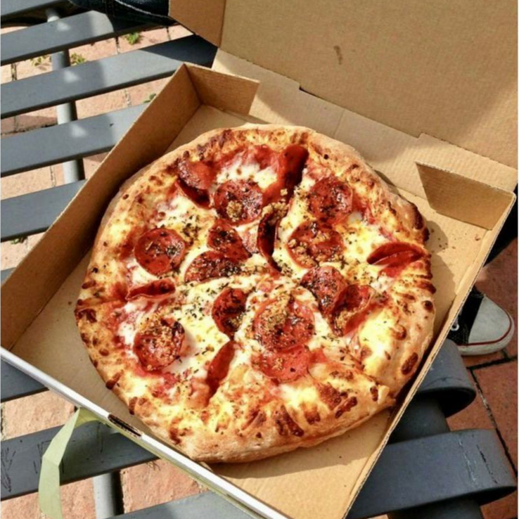 Jual Kardus Pizza Box Pizza Diecut Kotak Kue Pizza 20x20x4 20x20x5 ...