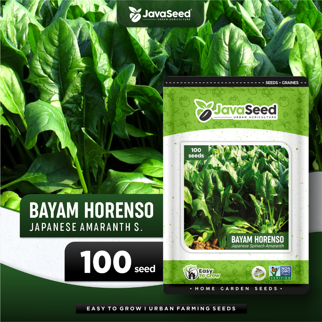 Jual JAVASEED - Benih Bayam Jepang Horenzo Green Empire Spinach ...