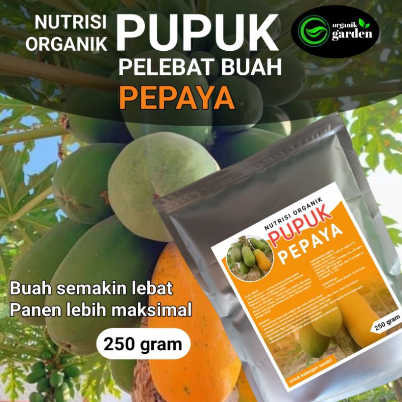 Jual pupuk pelebat buah PEPAYA | booster nutrisi organik 250 gram | Shopee Indonesia