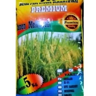 Jual BENIH PADI INPARI 32 PREMIUM 5KG | Shopee Indonesia