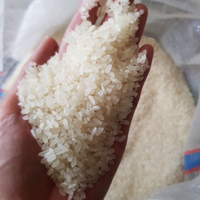 Jual BERAS ORGANIK PANEN SENDRI 1KG | Shopee Indonesia
