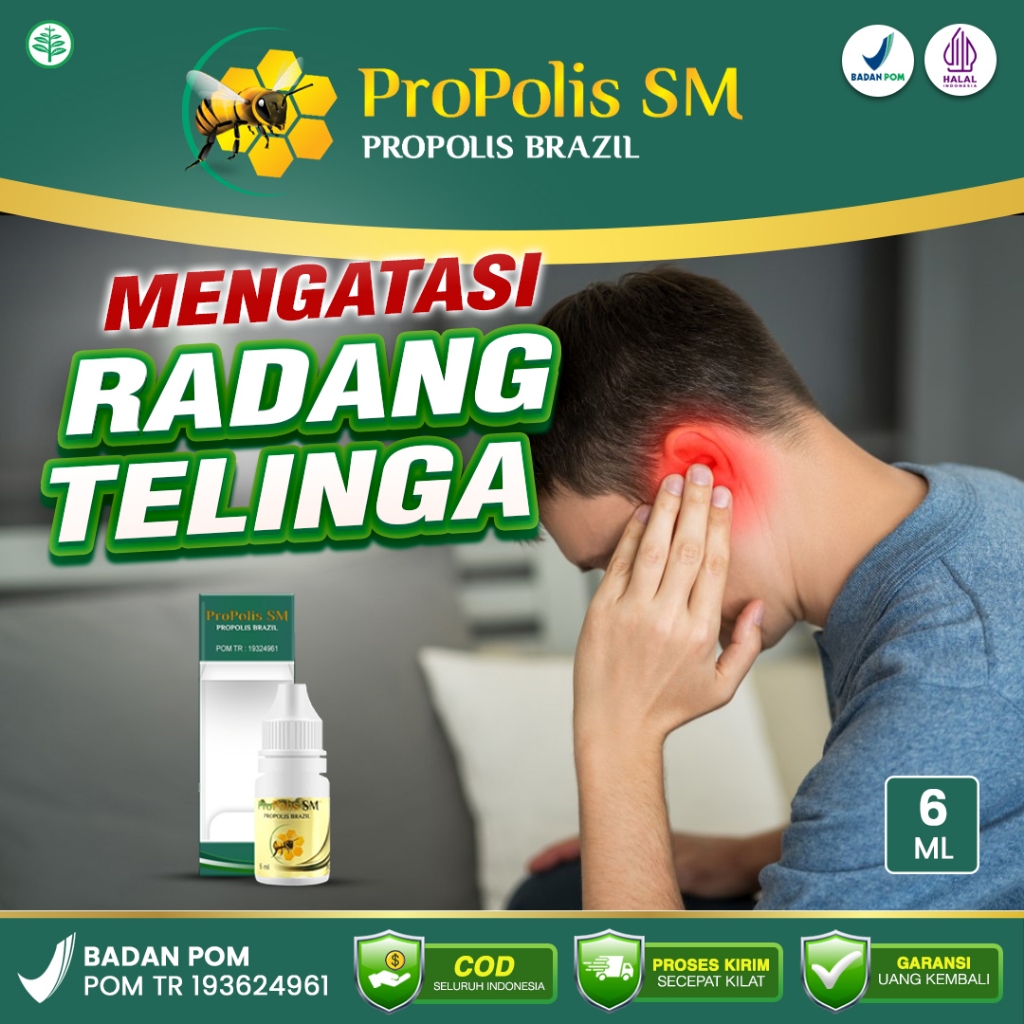 Jual Propolis SM Obat Radang Telinga Gendang Telinga Pecah Telinga Berair Bernanah Berdarah ...