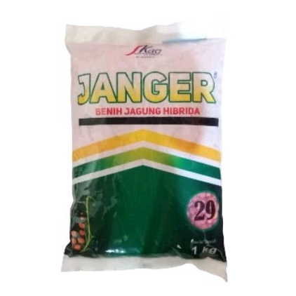 Jual Benih Jagung Hibrida JANGER 1kg | Shopee Indonesia