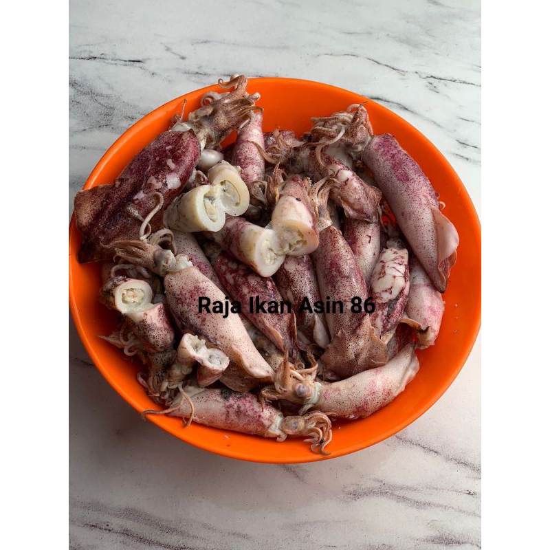 Jual Cumi Telur Rebus Asin Berkualitas Dan Cumi Telor Super Premium ...