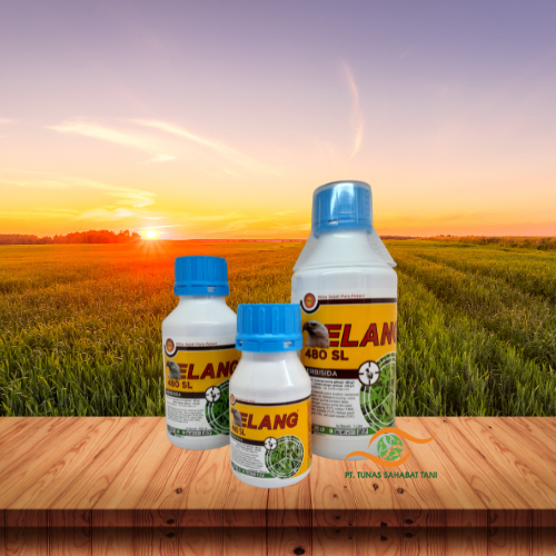 Jual ELANG 480 SL HERBISIDA Kemasan 200 ML/500 ML/ 1 LT - Pembasmi ...