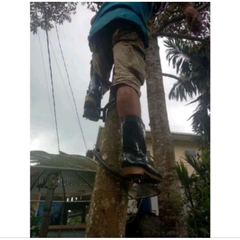 Jual alat panjat pohon kelapa | Shopee Indonesia