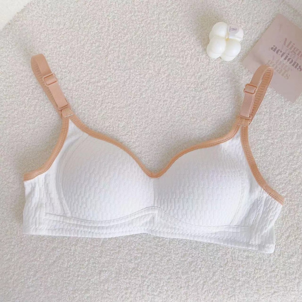 Jual Miss curiosity BH Bra motif garis lurus Push Up Style Senam Zumba ...