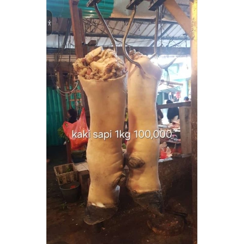 Jual kaki sapi | Shopee Indonesia