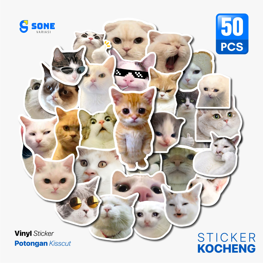 Jual Sticker Pack Meme Kucing Aesthetic Paper Vinyl Waterproof Dekorasi ...