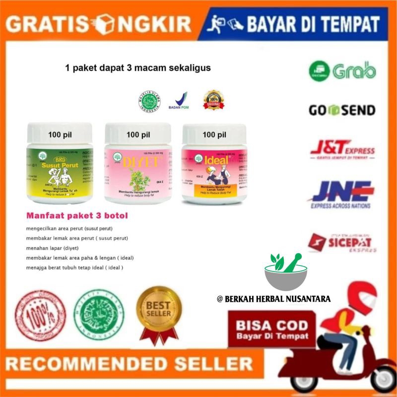 Jual PAKET PELANGSING BOROBUDUR - PIL DIYET - PIL SUSUT - PIL lDEAL ...