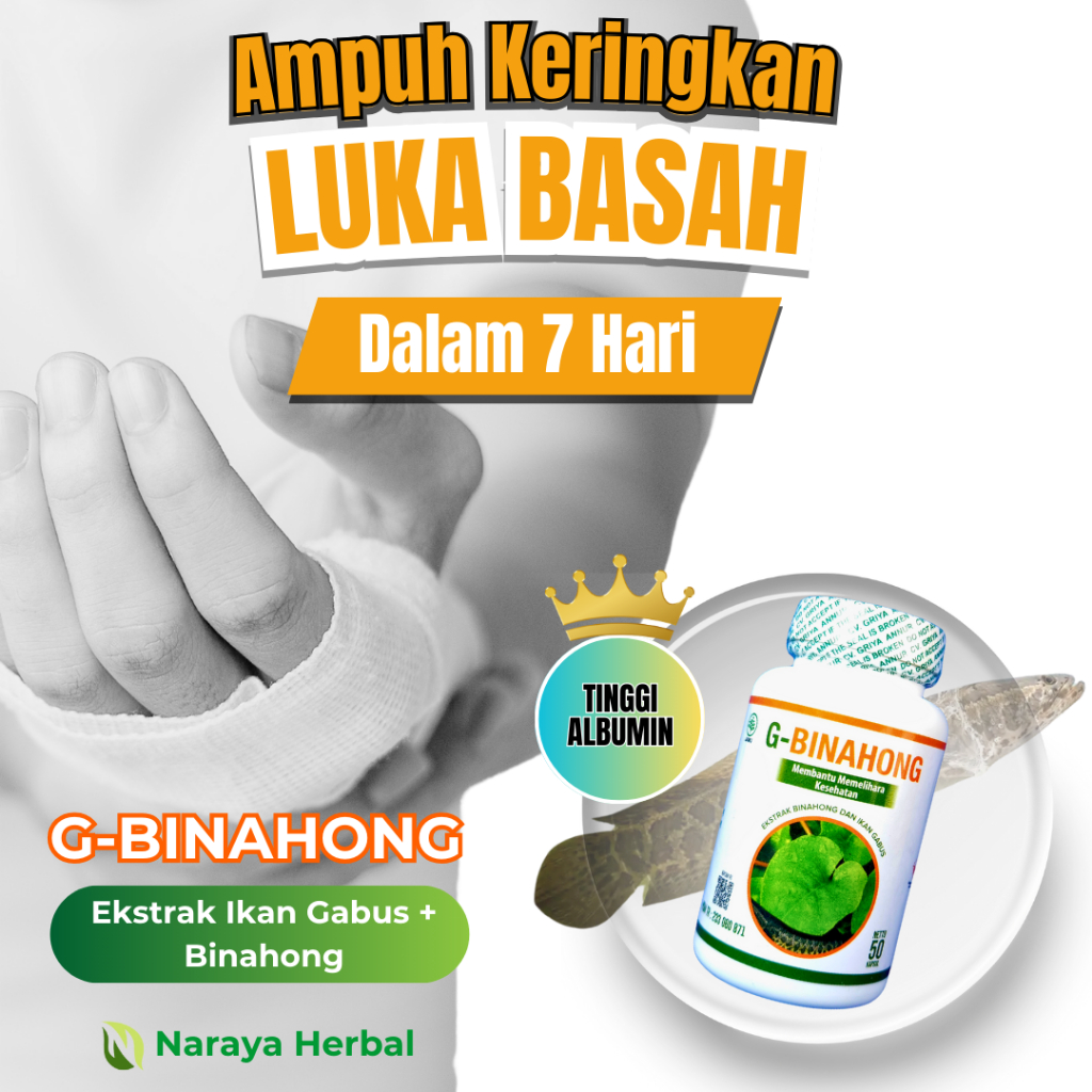 Jual G Binahong Kapsul Ekstrak Ikan Gabus Original 50 Kapsul Herbal Pengering Luka | Shopee ...