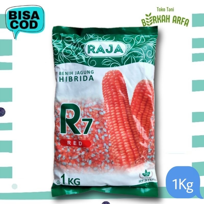 Jual Benih Jagung Hibrida Raja R7 1 Kg | Shopee Indonesia