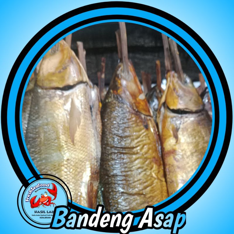 Jual BANDENG ASAP BIJIAN | Shopee Indonesia