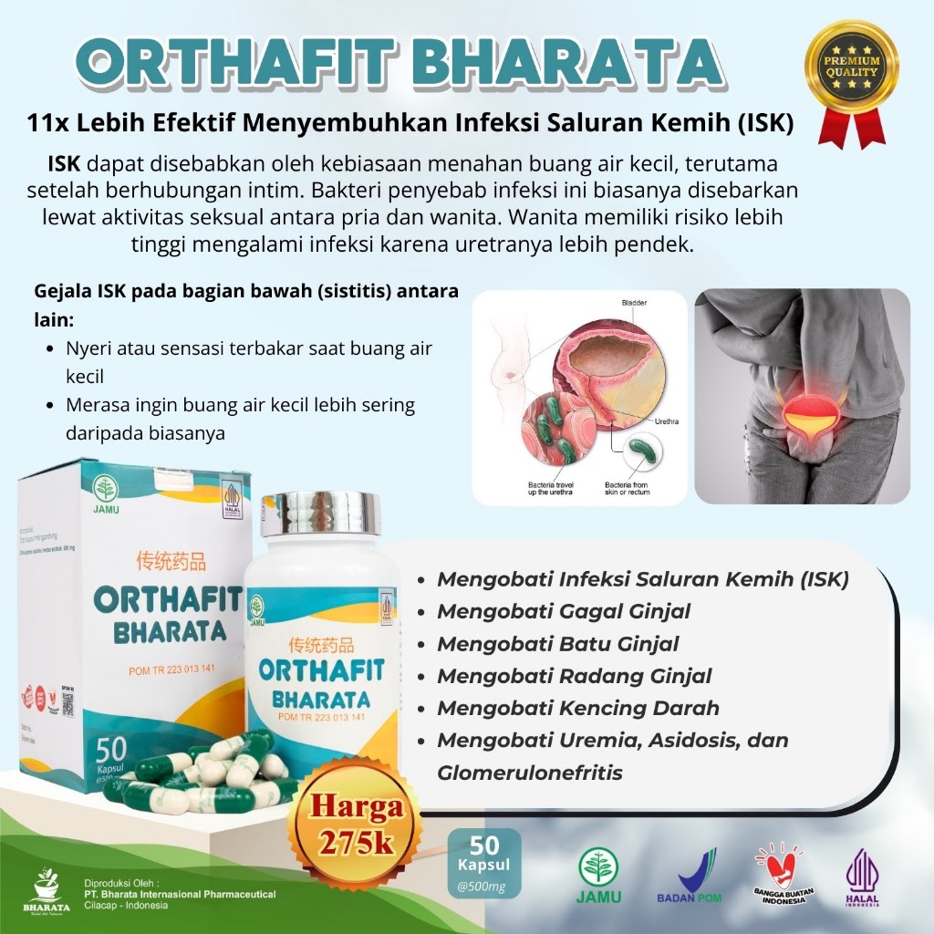 Jual Obat Ginjal Paling Ampuh | Obat Gagal Ginjal Orthafit Bharata ...
