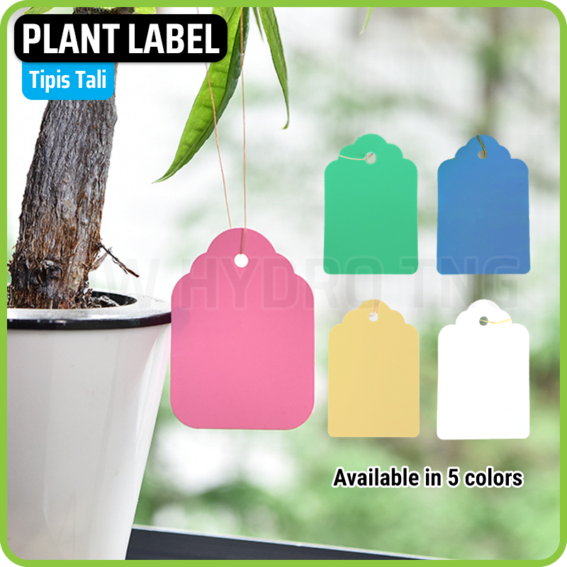 Jual Plant Label Name Tag - Label Penanda Tanaman | Model Hanging String - Tali Gantungan ...
