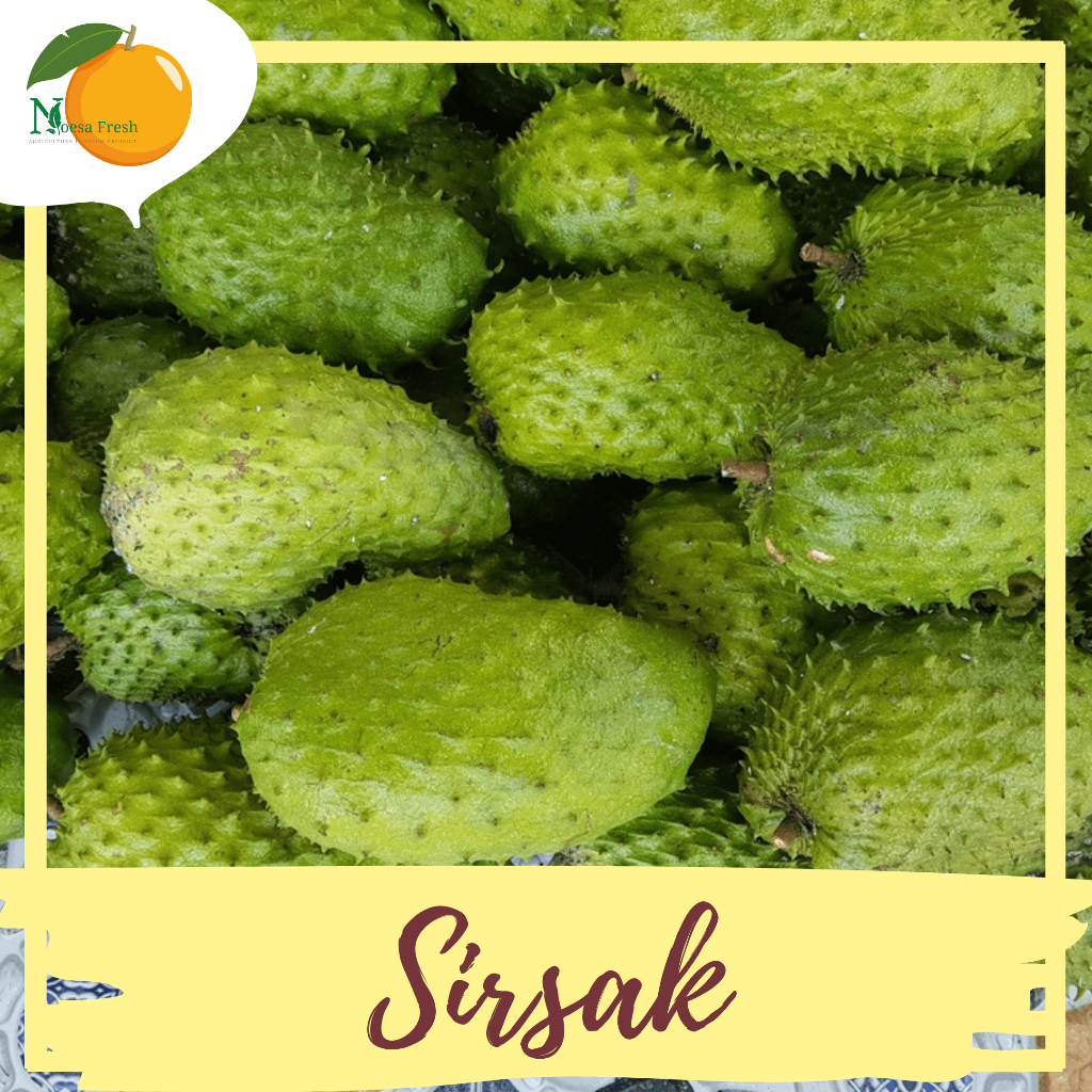 Jual Buah Sirsak Fresh 1 buah (0,9-1,3kg) | Shopee Indonesia