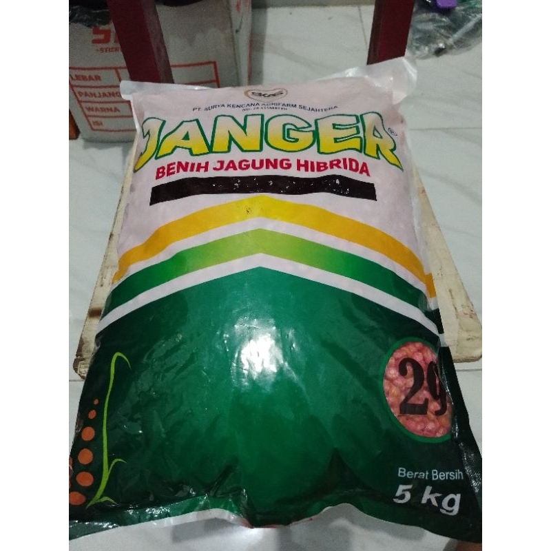 Jual BENIH JAGUNG HIBRIDA JANGER 5 KG | Shopee Indonesia