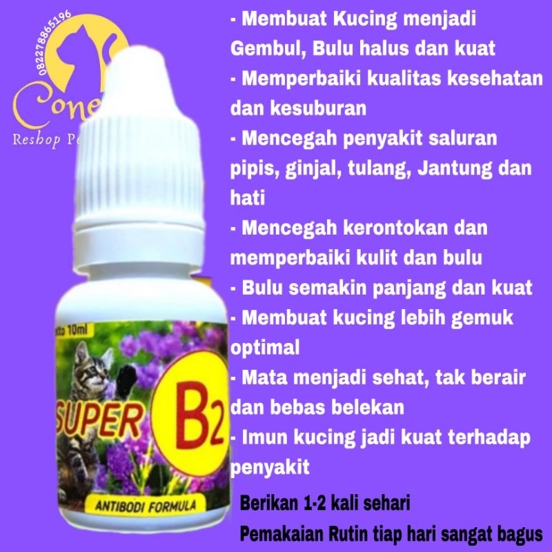 Jual B2 Super Vit Shopee Indonesia