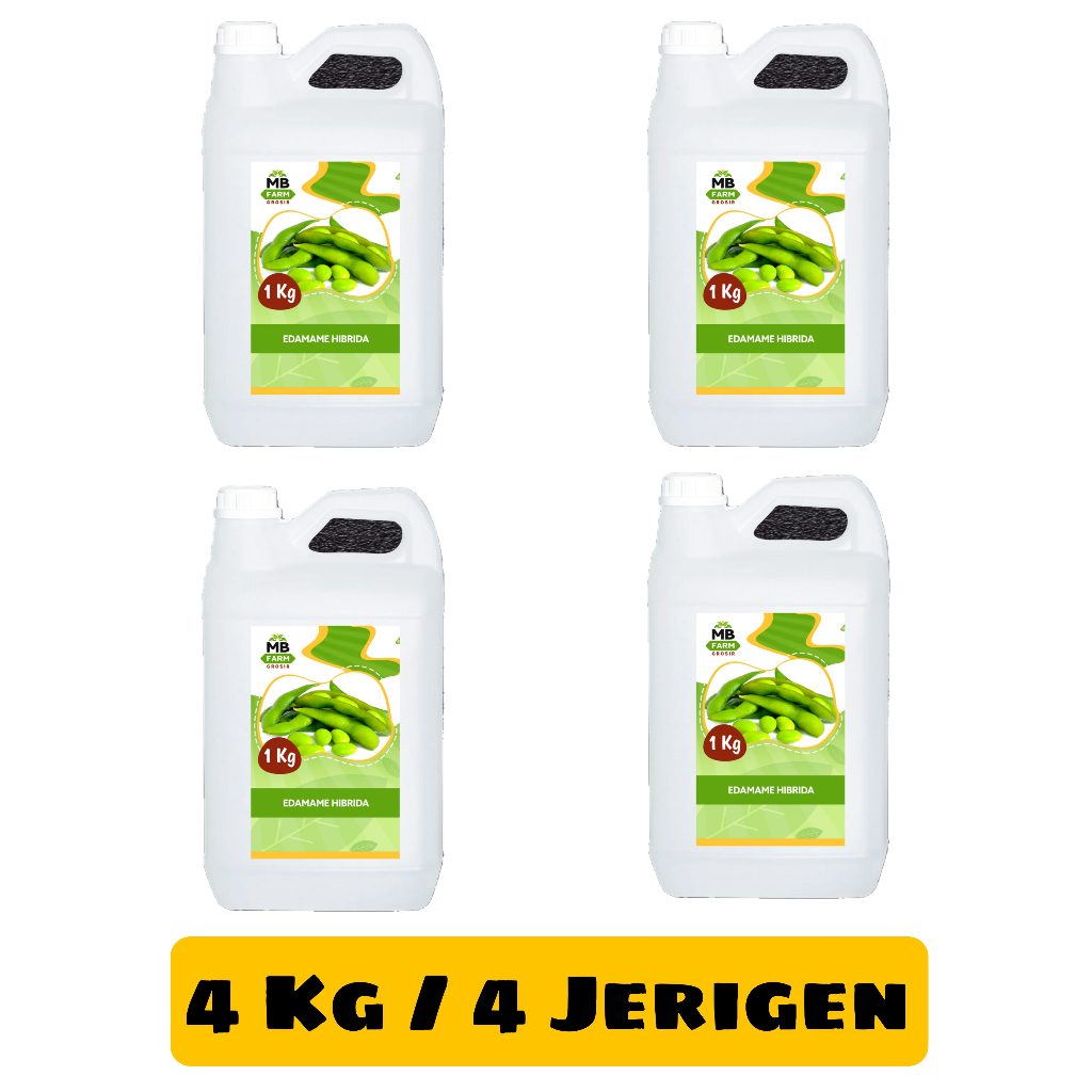 Jual 4 Kg Benih edamame bibit kedelai edamame | Shopee Indonesia