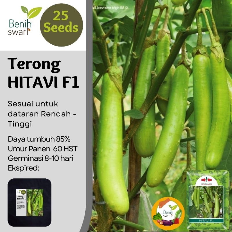 Jual Benih Swari: (isi 25 butir) Benih Terong Hitavi F1 | Shopee Indonesia