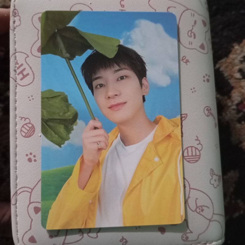 Jual PC Photocard Wonwoo Heaven carver carat version Totoro | Shopee Indonesia