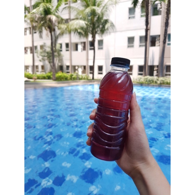 Jual botol sehat 330 ml SN tebal / botol mini / botol viral / botol ...