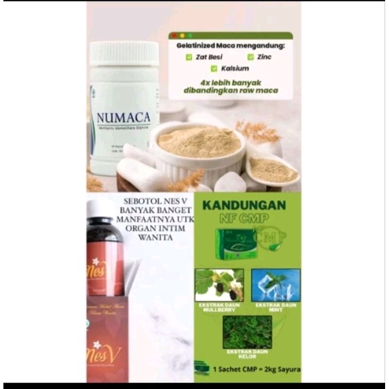 Jual PAKET PROMIL (NUMACA - NESV - NFCMP) | Shopee Indonesia