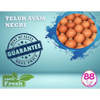Jual Telur Ayam 1 Kg Terlengkap & Harga Terbaru Maret 2025 | Shopee ...